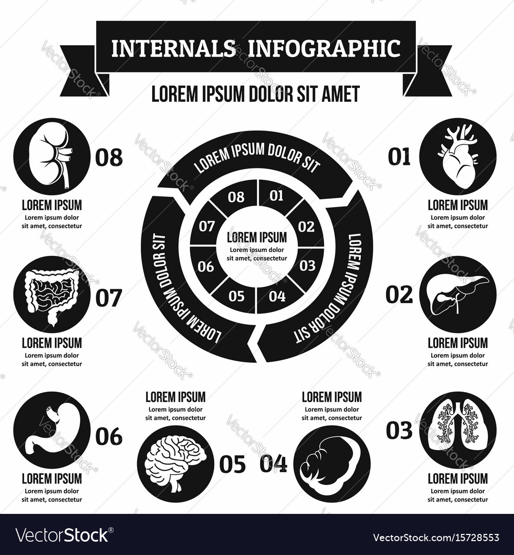 Internals infographic concept simple style Vector Image