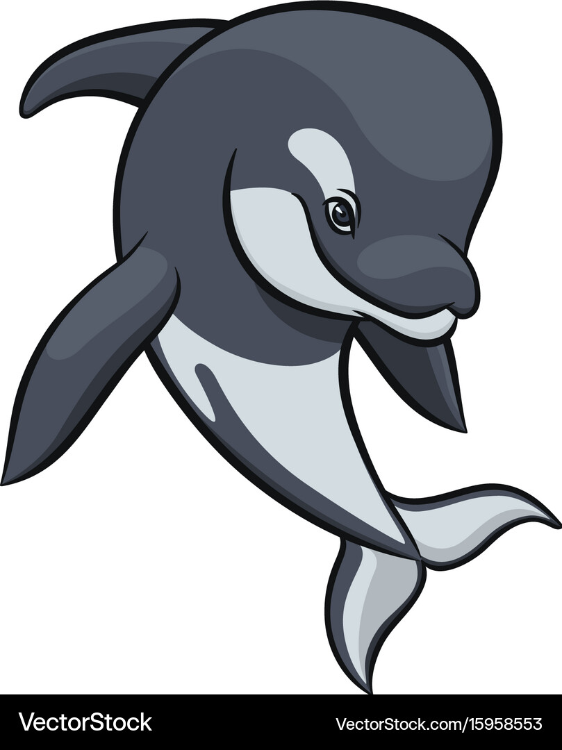 Orca Whale - Marine Mammal Royalty Free Vector Image