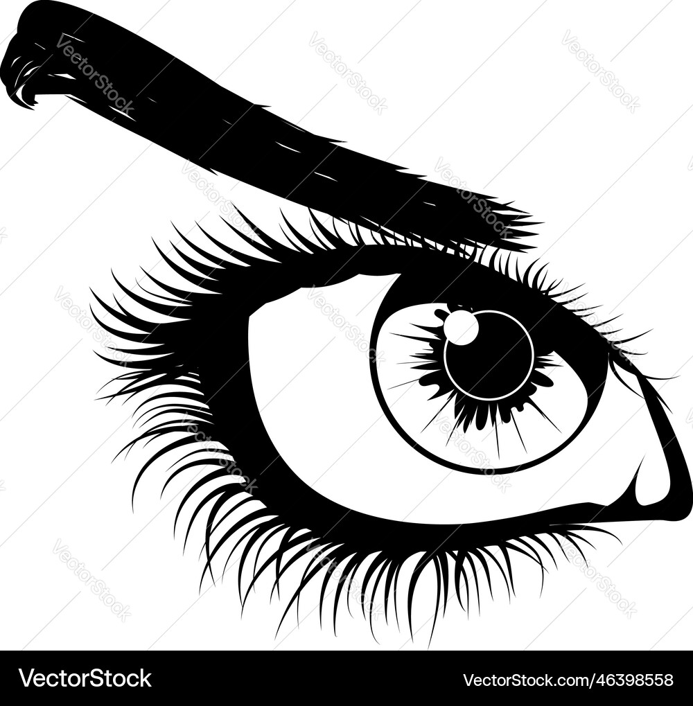 Black and white female eye Royalty Free Vector Image