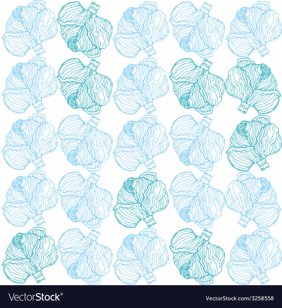 Cabbage pattern Royalty Free Vector Image - VectorStock
