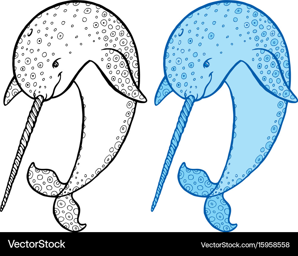 Narwhal outline and color Royalty Free Vector Image