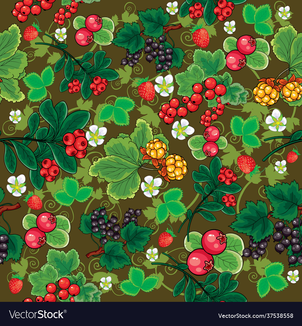 Pattern decor from multi-colored berries Vector Image