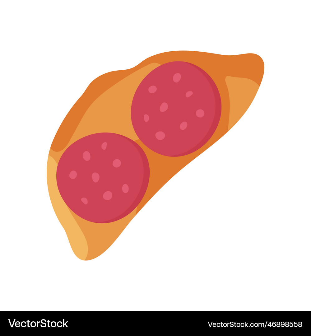 Salami on slice of bread Royalty Free Vector Image