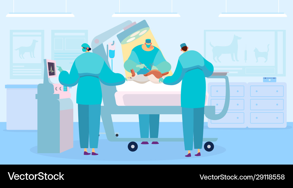 Surgeon performing operation dog in veterinary Vector Image