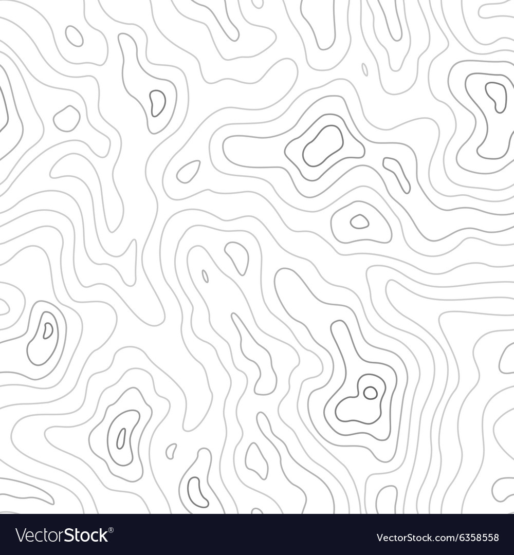 Topographic map pattern Royalty Free Vector Image