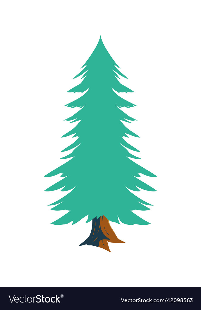 Pine tree icon Royalty Free Vector Image - VectorStock