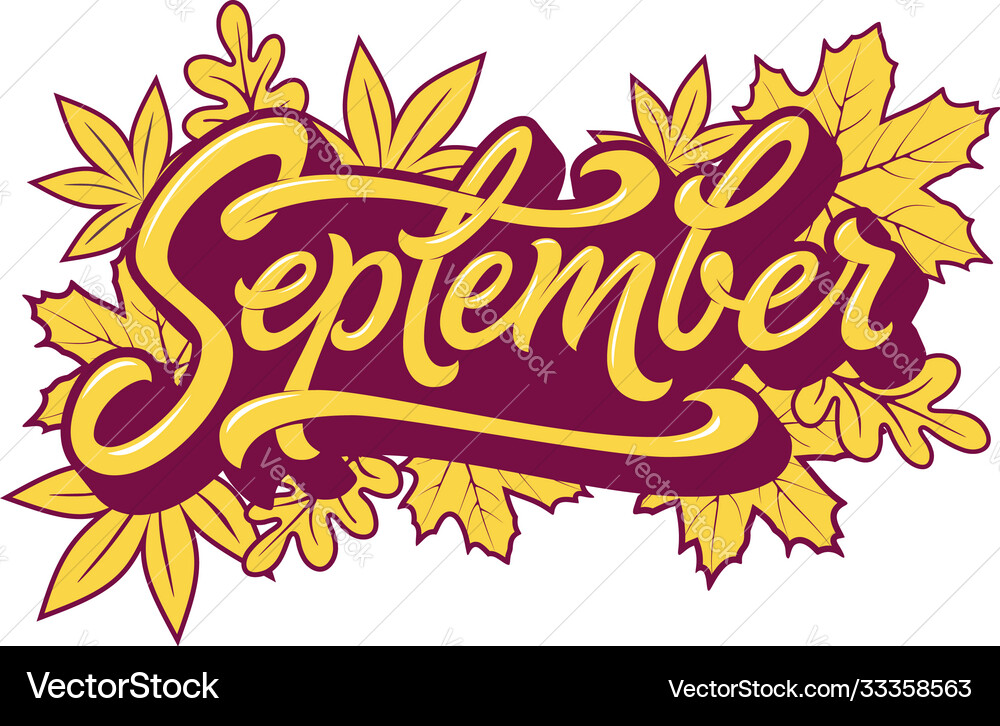 September typography with autumn leaves on white Vector Image