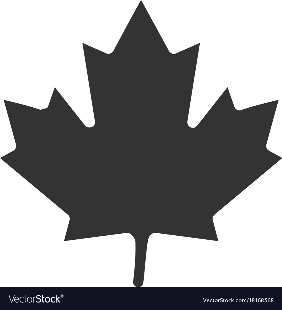 Maple leaf flat icon Royalty Free Vector Image
