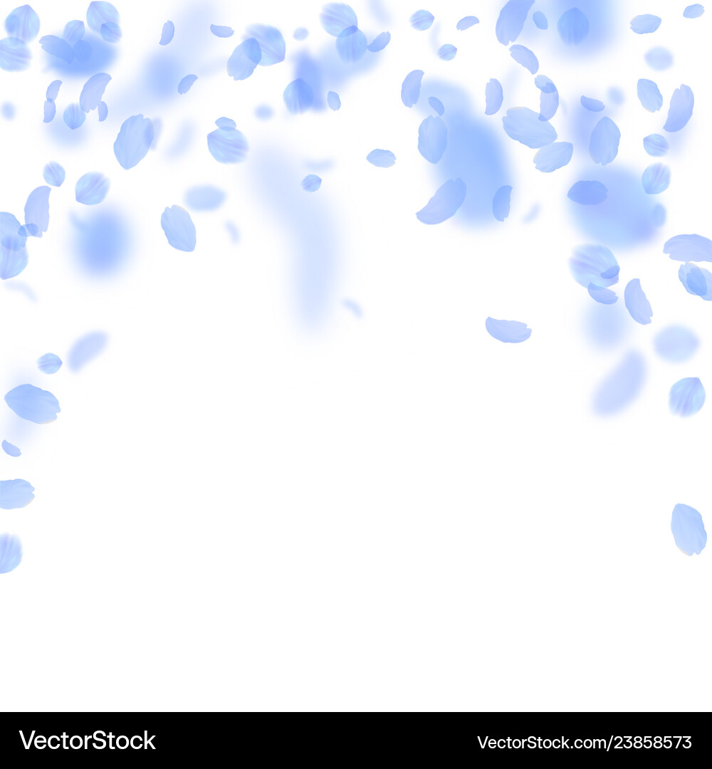 Dark blue flower petals falling down wonderful ro Vector Image