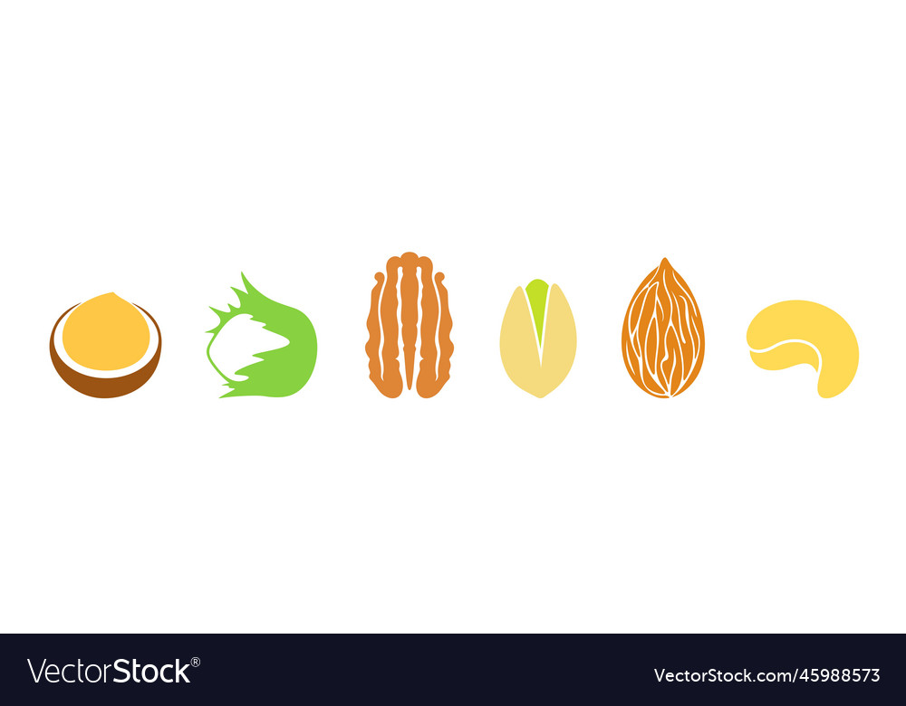 Nut Royalty Free Vector Image - VectorStock
