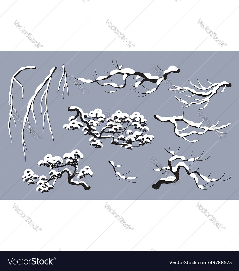 Set of snow covered tree branches Royalty Free Vector Image