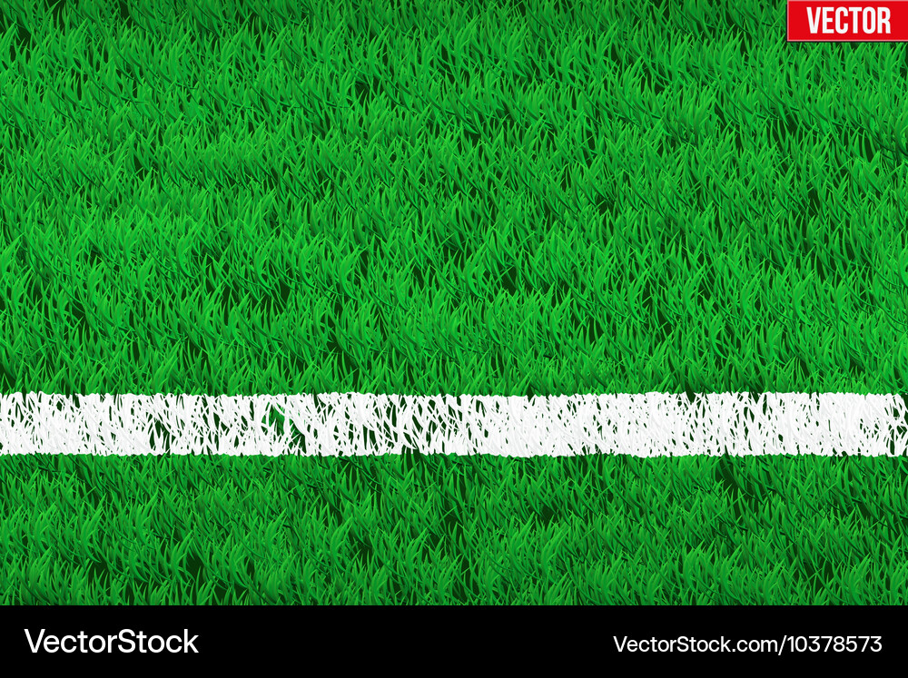 White line on sport grass field Royalty Free Vector Image