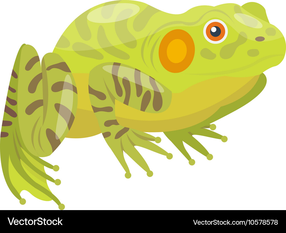 Frog cartoon tropical animal Royalty Free Vector Image