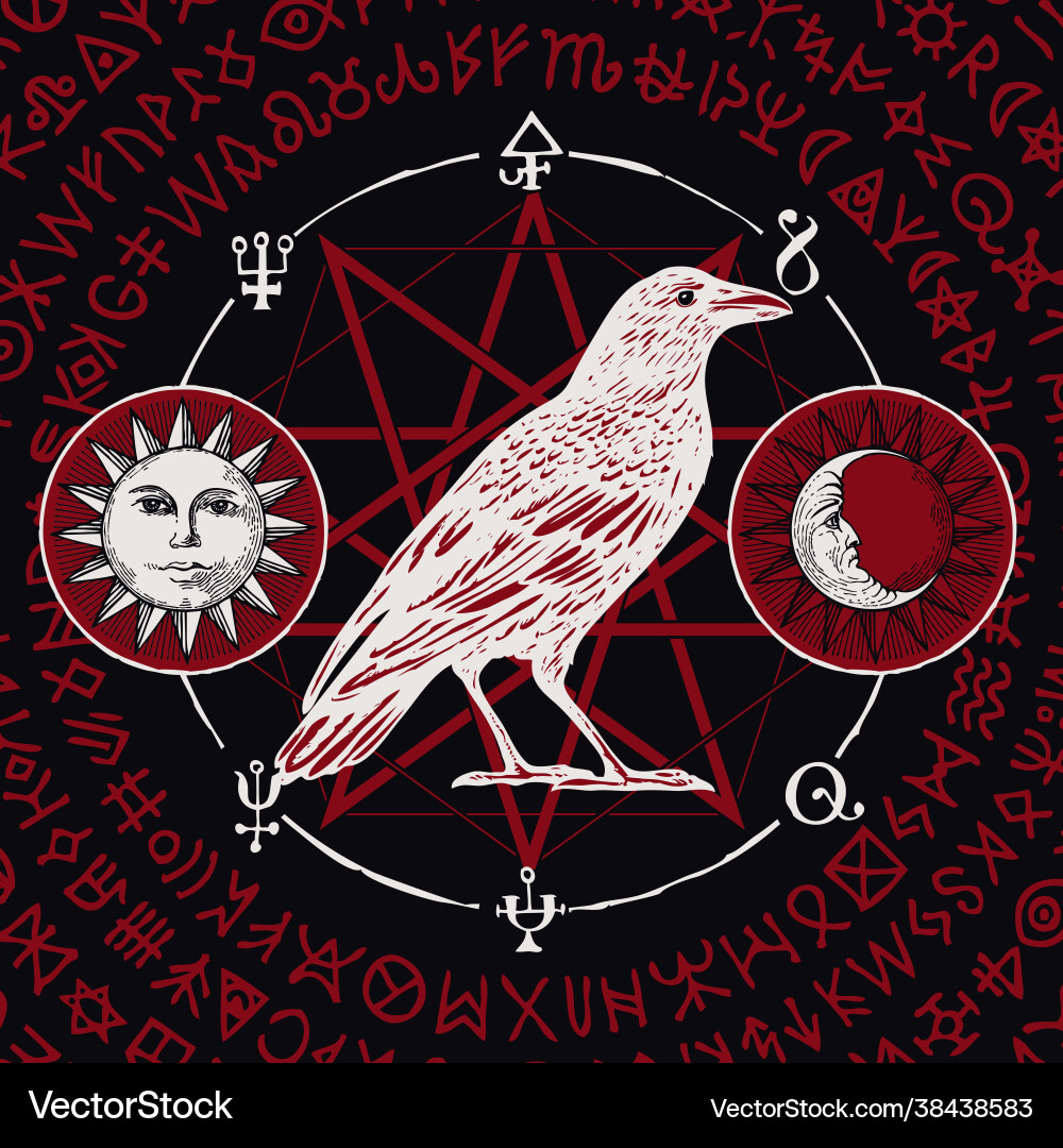 Banner with drawn white raven and sorcery signs Vector Image
