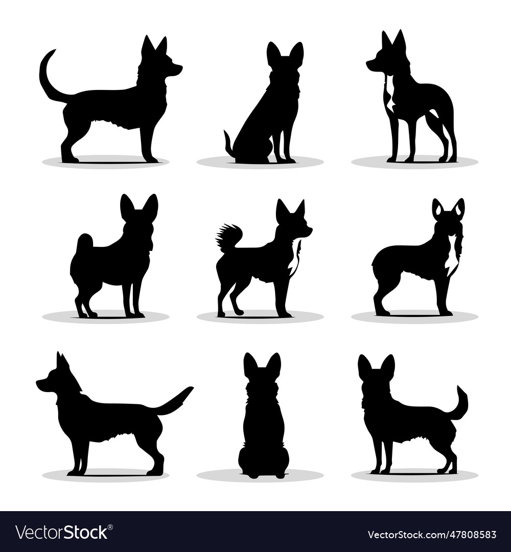 Chihuahua small dog icons and silhouettes set Vector Image