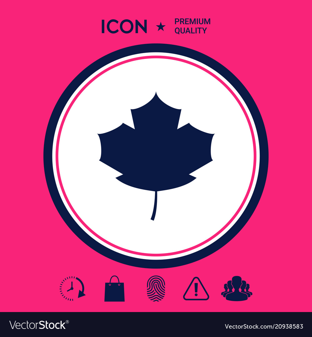 Maple leaf icon Royalty Free Vector Image - VectorStock