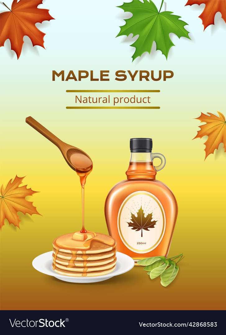 Maple syrup composition Royalty Free Vector Image