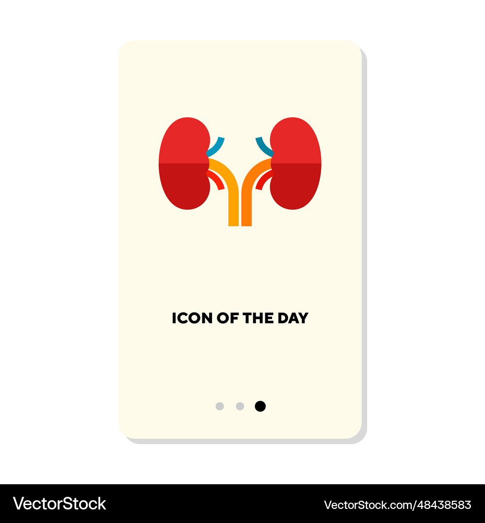 Pair of human kidneys flat icon Royalty Free Vector Image