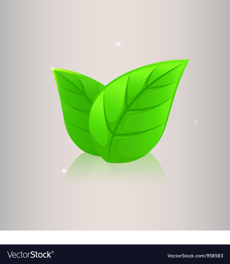 Two leaves Royalty Free Vector Image - VectorStock