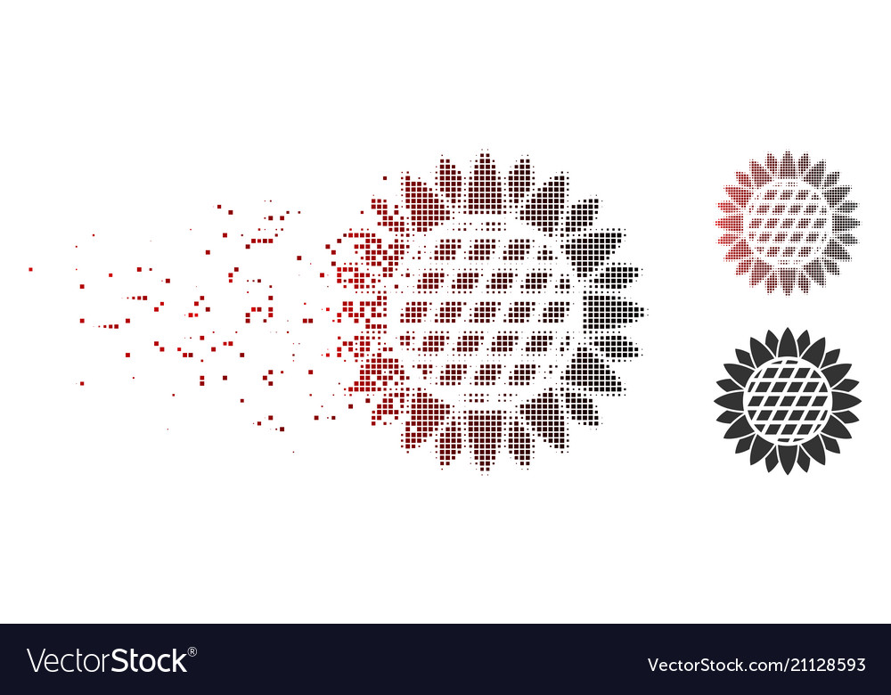 Decomposed pixel halftone sunflower flower icon Vector Image Decomposed pixel halftone sunflower flower icon Vector Image
