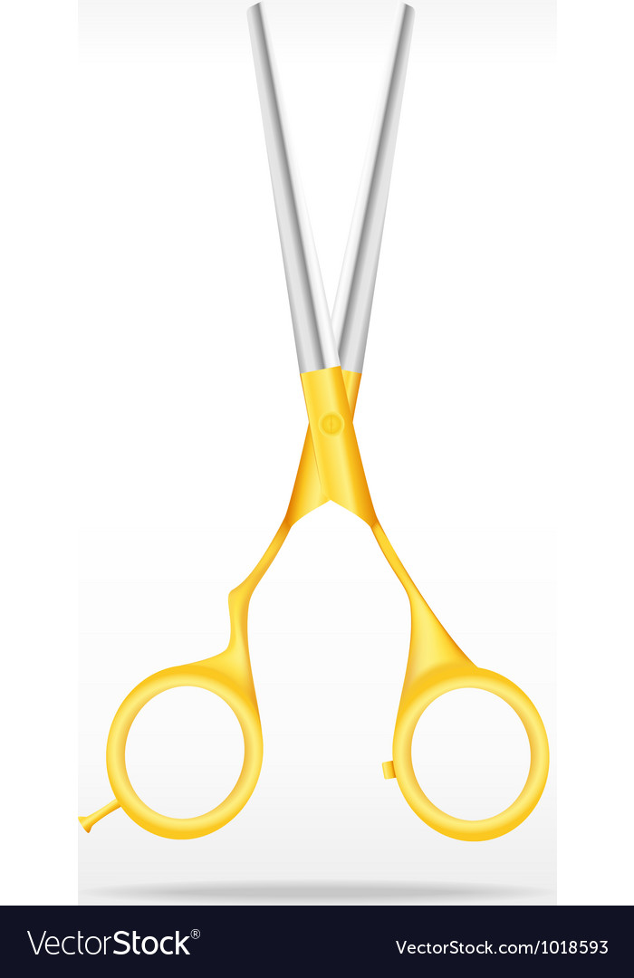 Scissors Royalty Free Vector Image - VectorStock