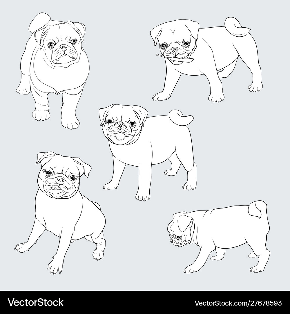 Set pug dogs outline hand drawing Royalty Free Vector Image