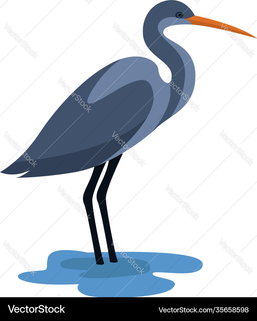 Bird with loong legs on white background Vector Image