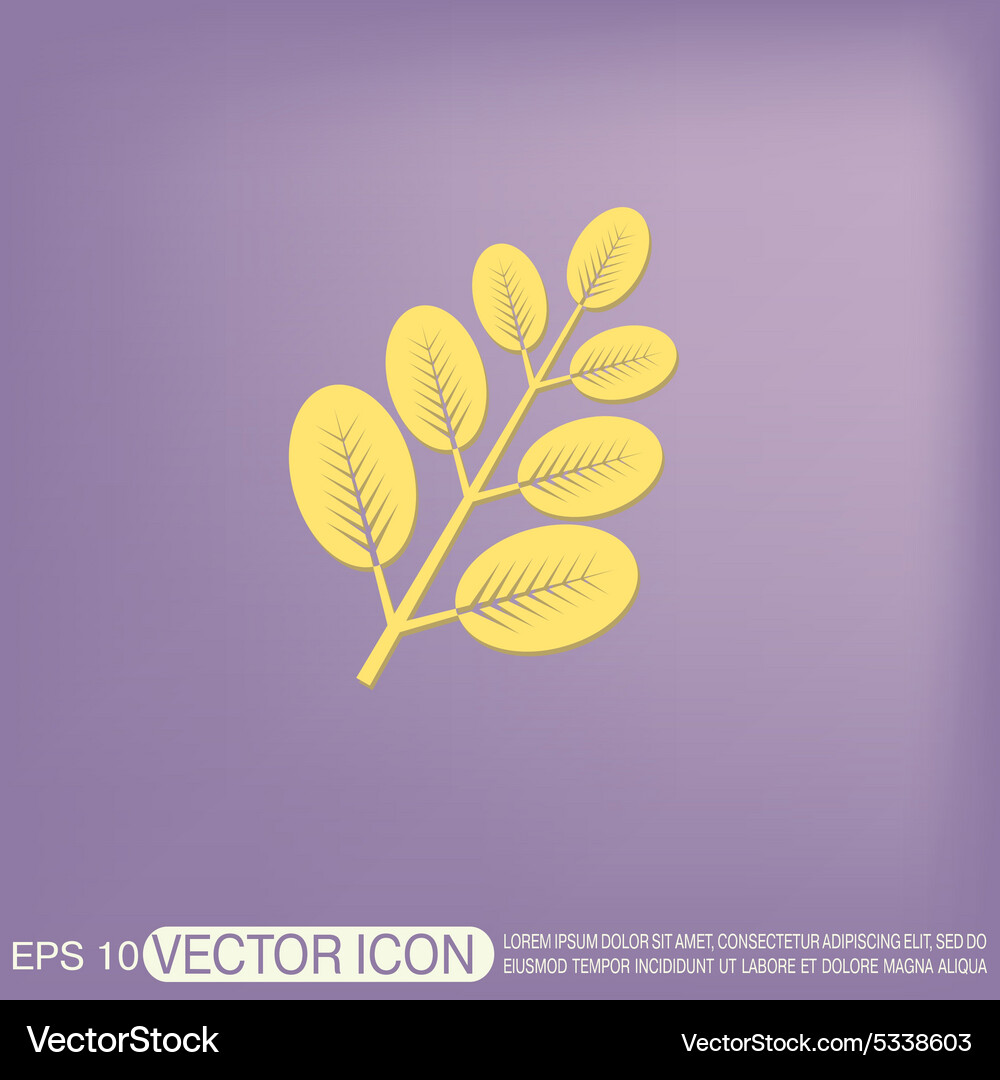 Branch with leaves symbol icon geometry teaching Vector Image