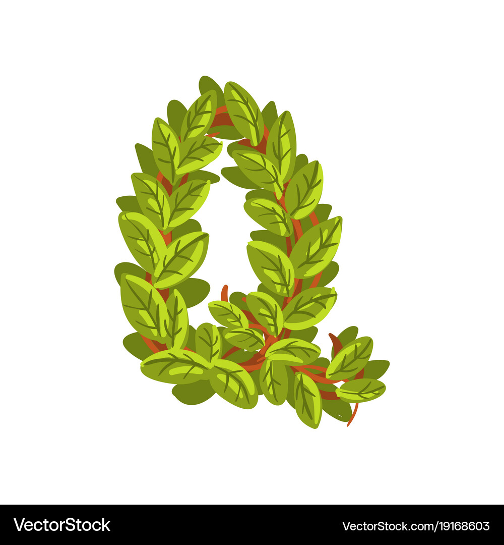 Letter q english alphabet made tree branches Vector Image