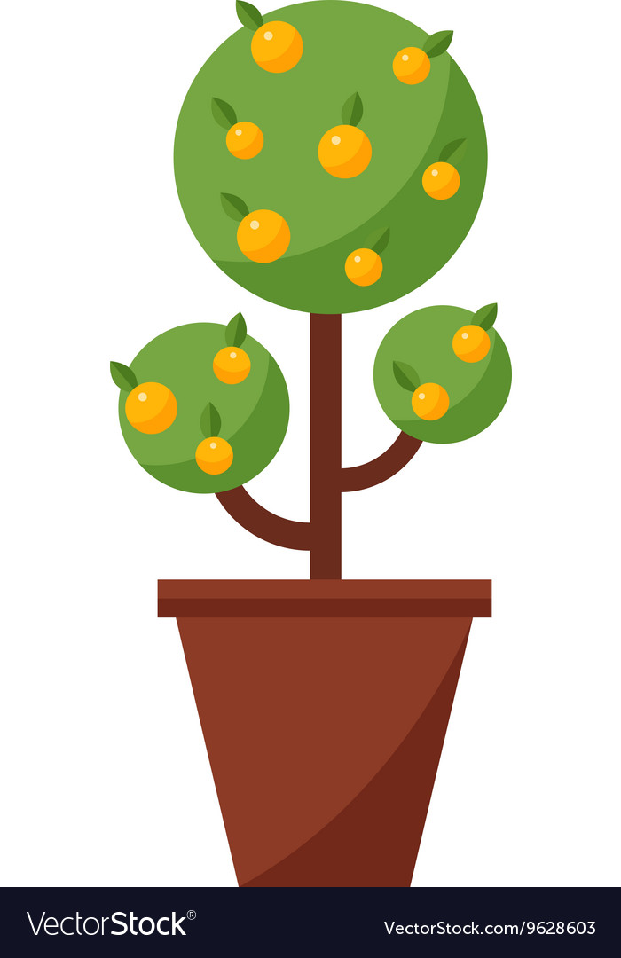 Orange tree Royalty Free Vector Image - VectorStock