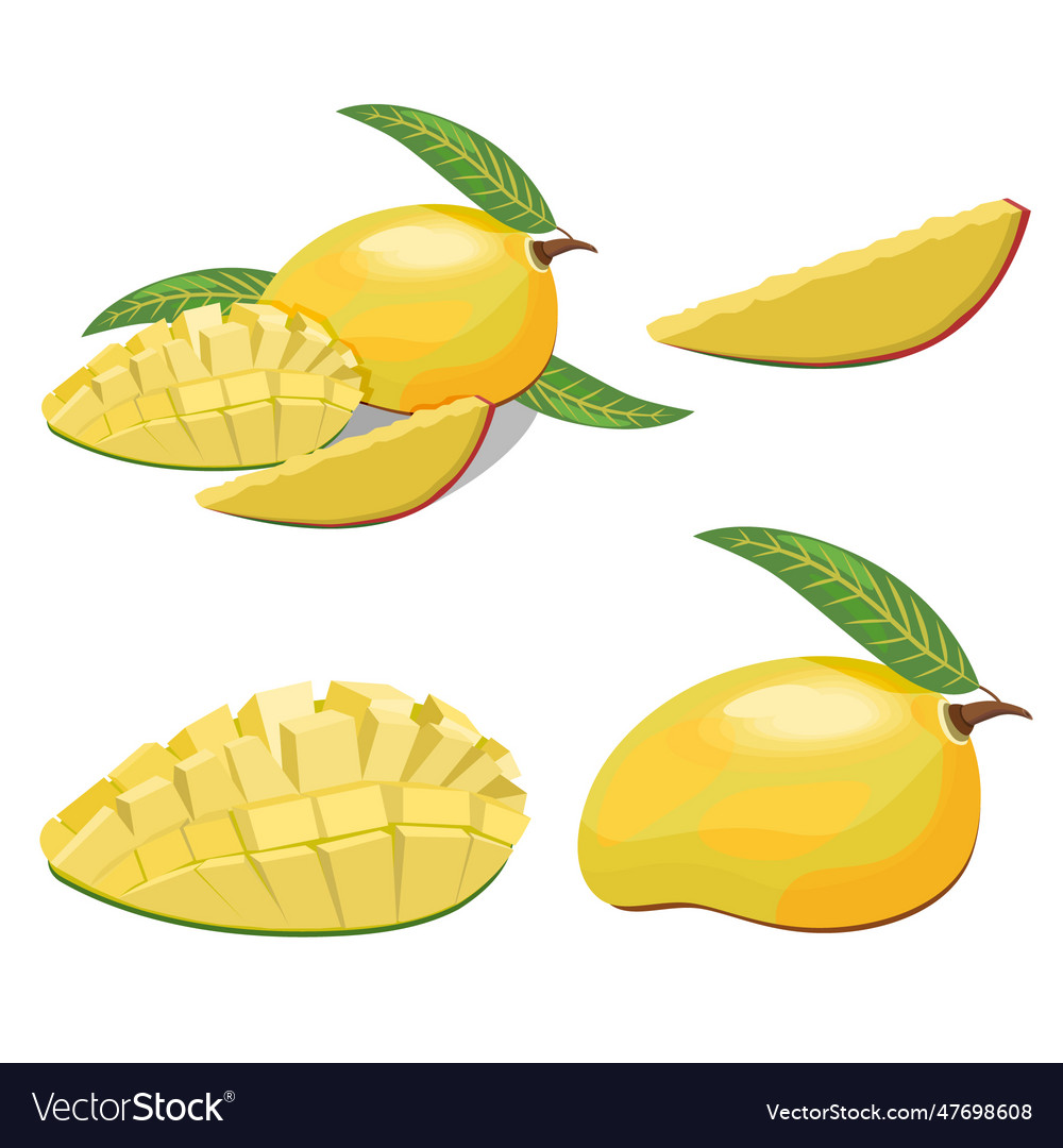 Mango set Royalty Free Vector Image - VectorStock