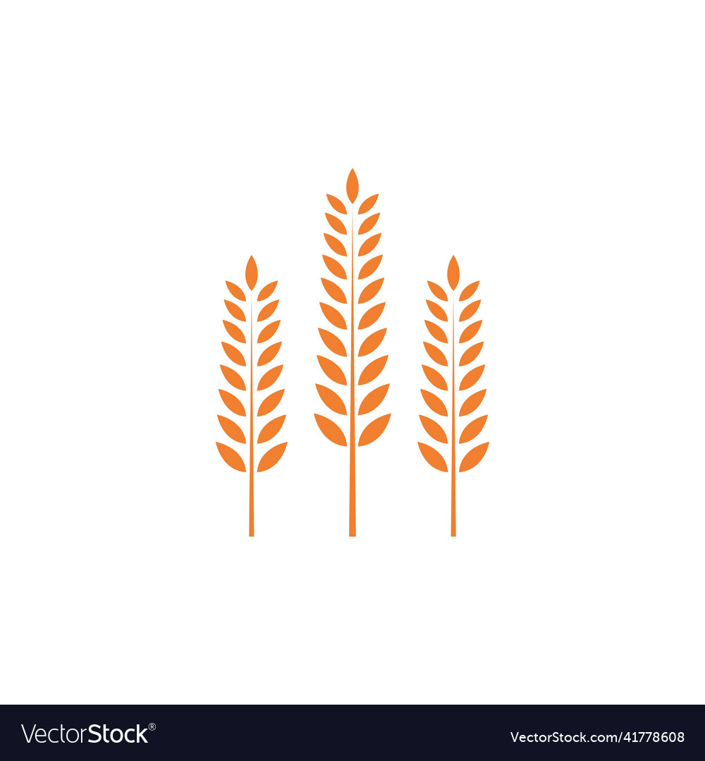 Wheat Royalty Free Vector Image - VectorStock