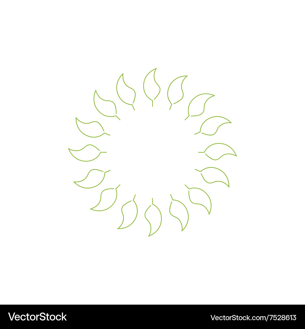Classic design shape of the leaves Royalty Free Vector Image