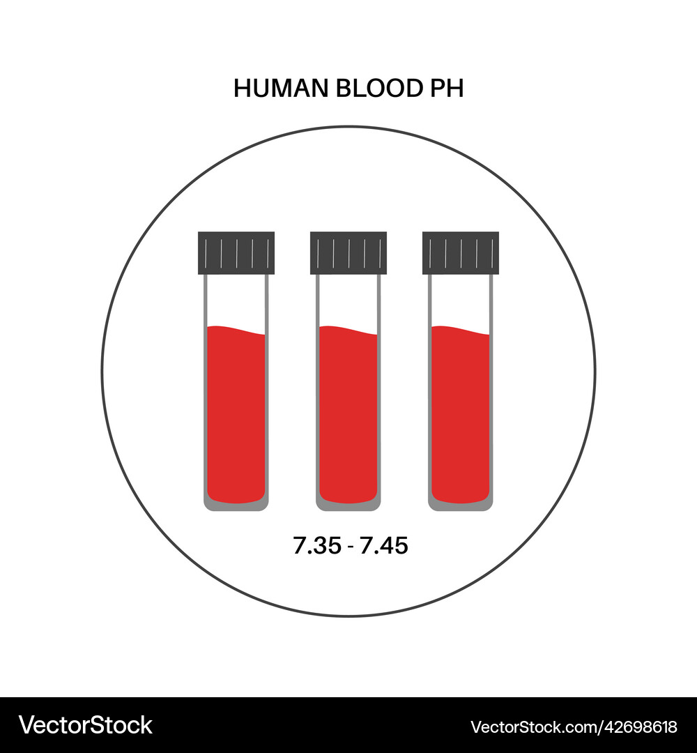 Blood ph level Royalty Free Vector Image - VectorStock