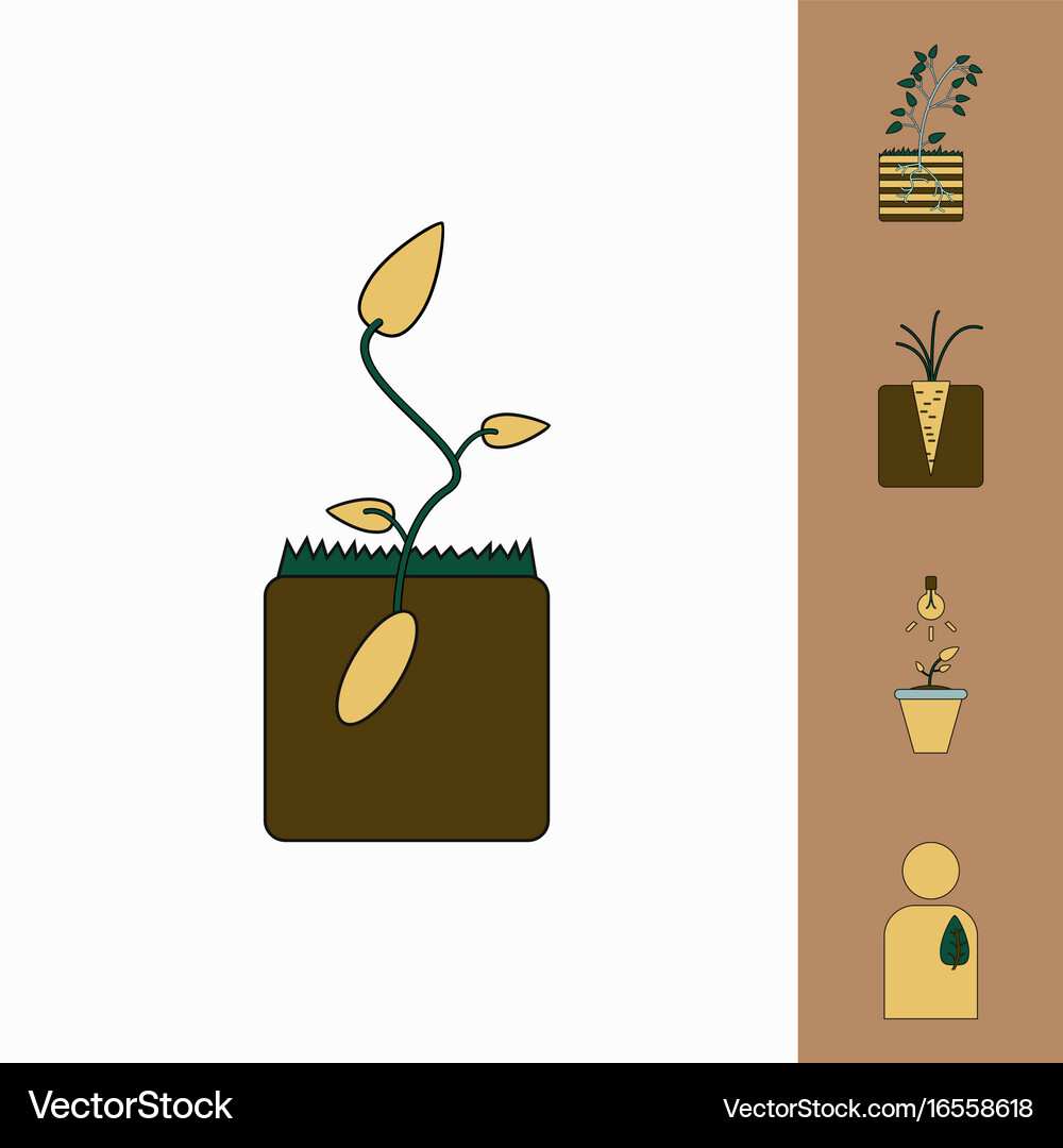 Collection icons and plants stages Royalty Free Vector Image