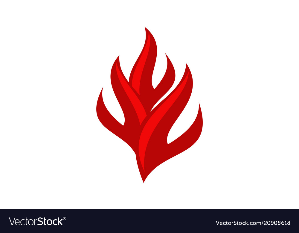 Fire logo design template Royalty Free Vector Image