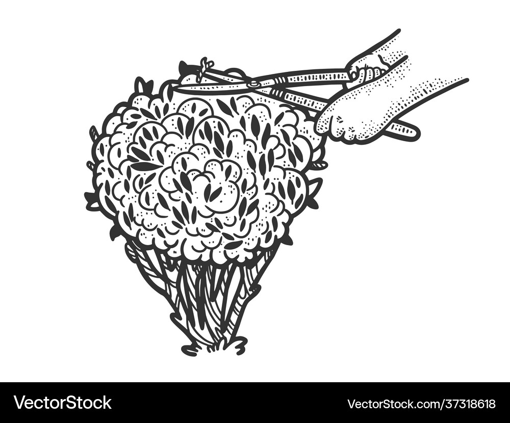 Gardener trims bush sketch Royalty Free Vector Image