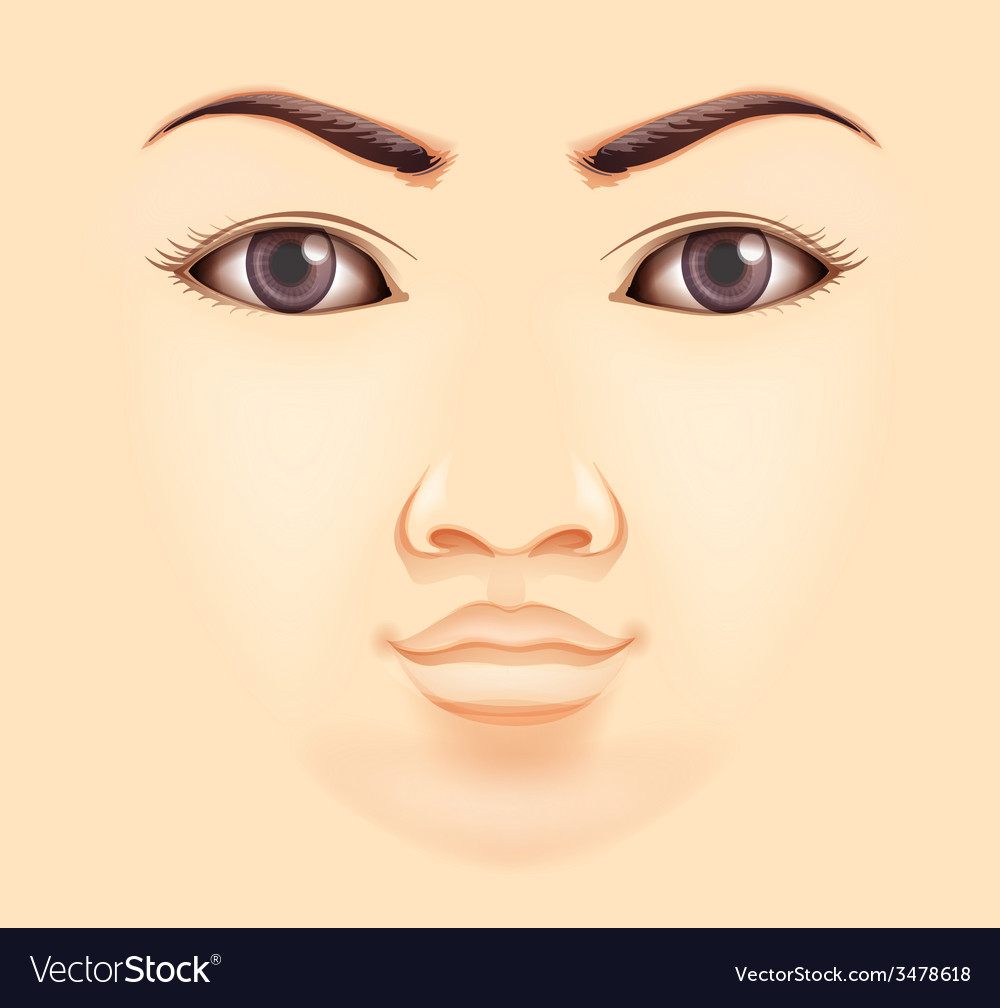 Human face Royalty Free Vector Image - VectorStock