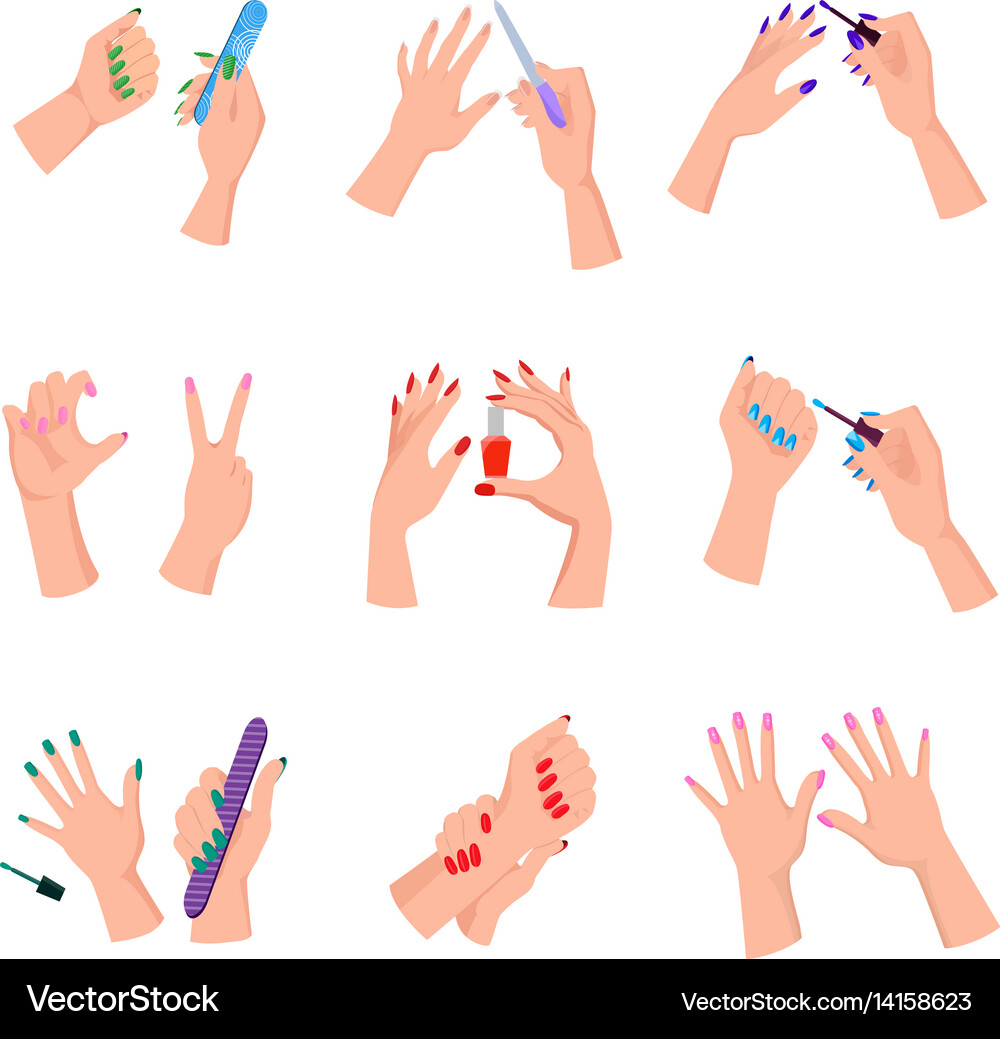 Manicured women nails isolated set Royalty Free Vector Image