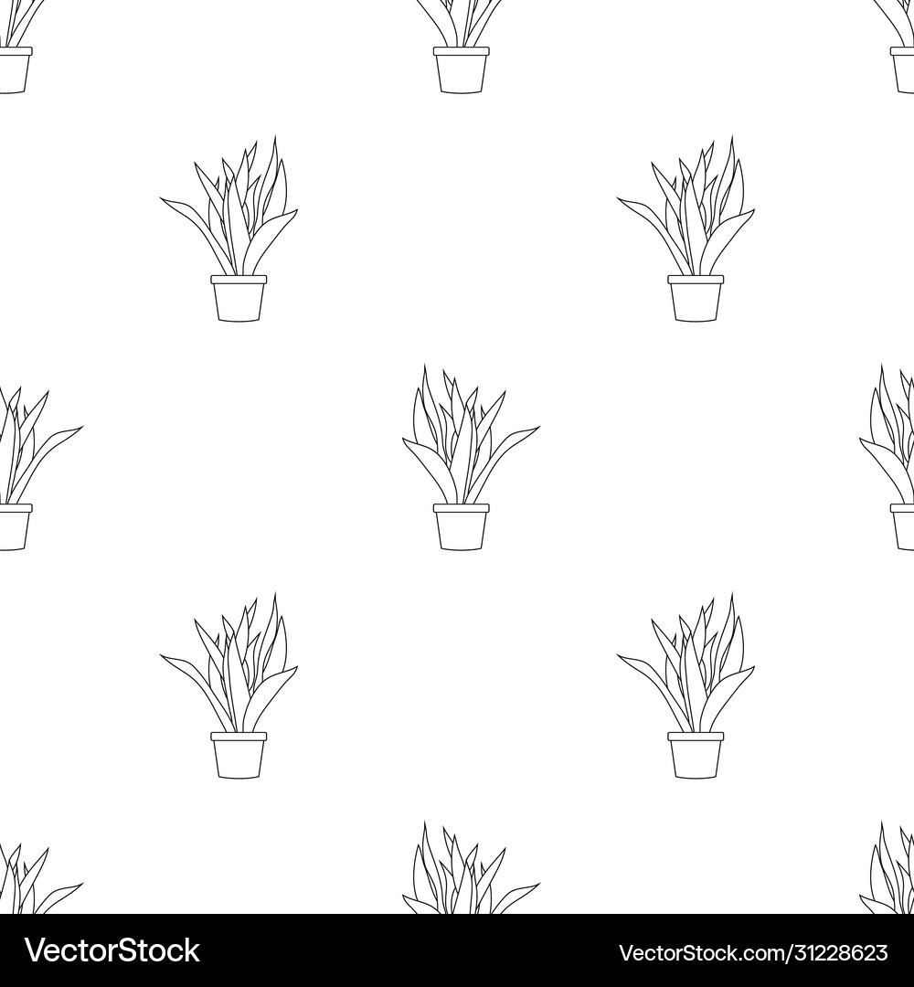 Snake plant outline seamless on white background Vector Image