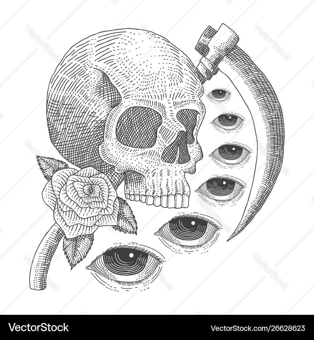 Vintage skull eye death Royalty Free Vector Image