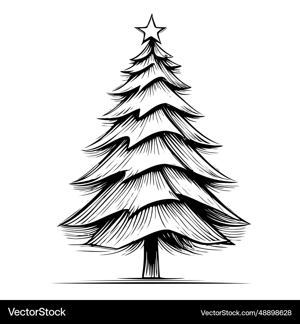 Christmas tree sketch with star hand drawn Vector Image