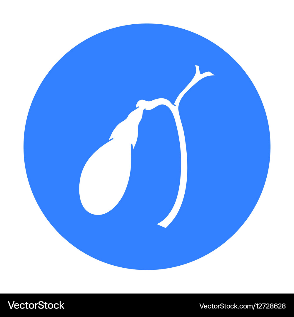 Human gallbladder icon in black style isolated on Vector Image