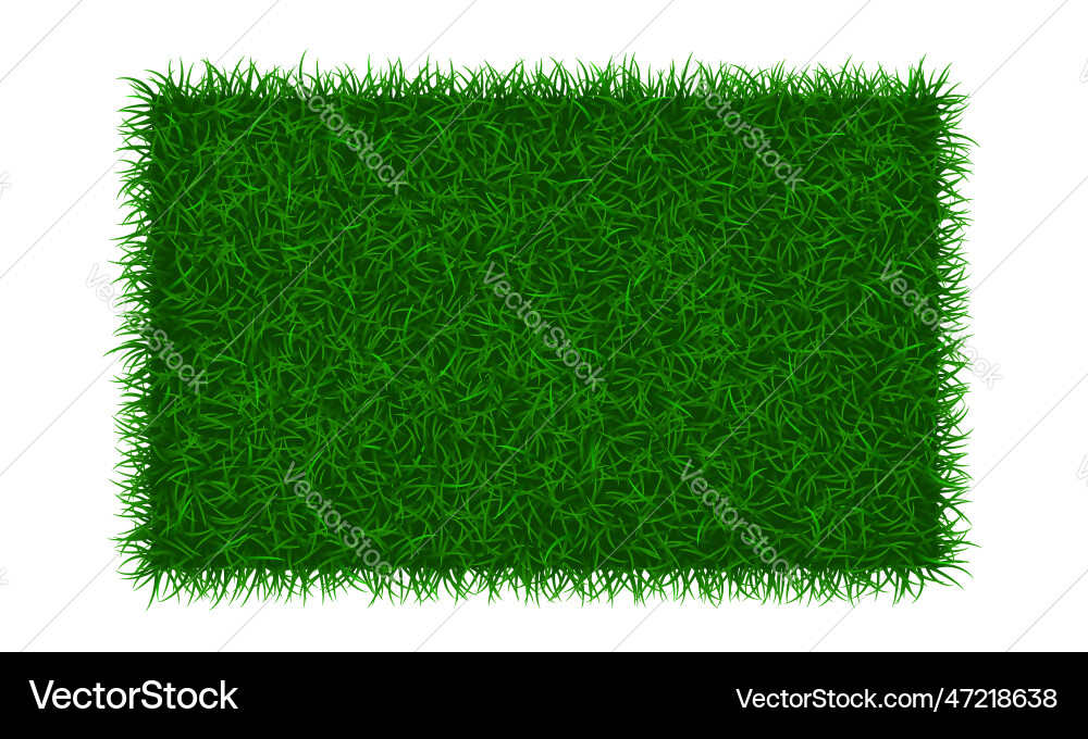 Banner with green grass template isolated on white