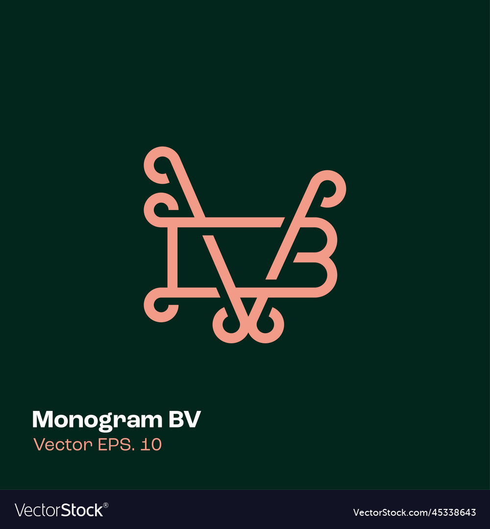 Monogram logo bv Royalty Free Vector Image - VectorStock