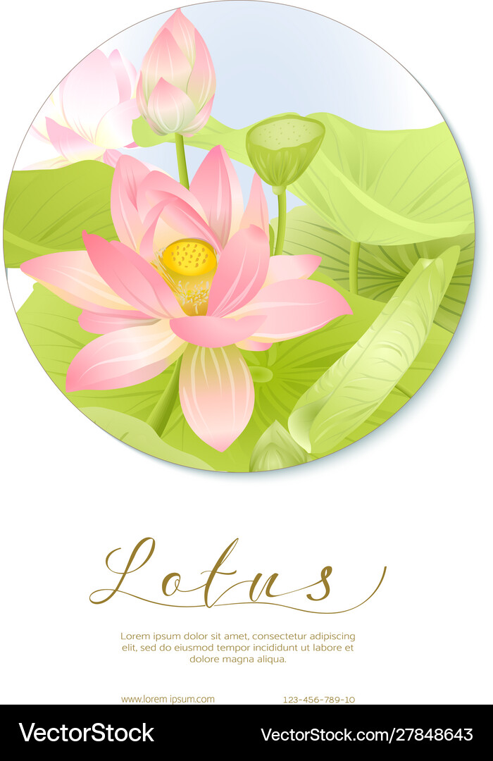 Pink lotus template for wedding invitation Vector Image
