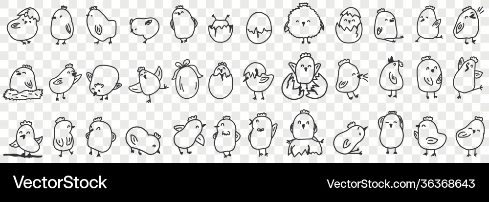 Small chicks on farm doodle set Royalty Free Vector Image