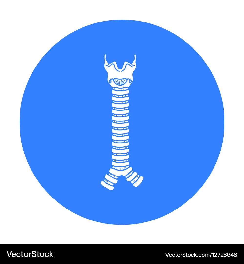 Human trachea icon in black style isolated Vector Image