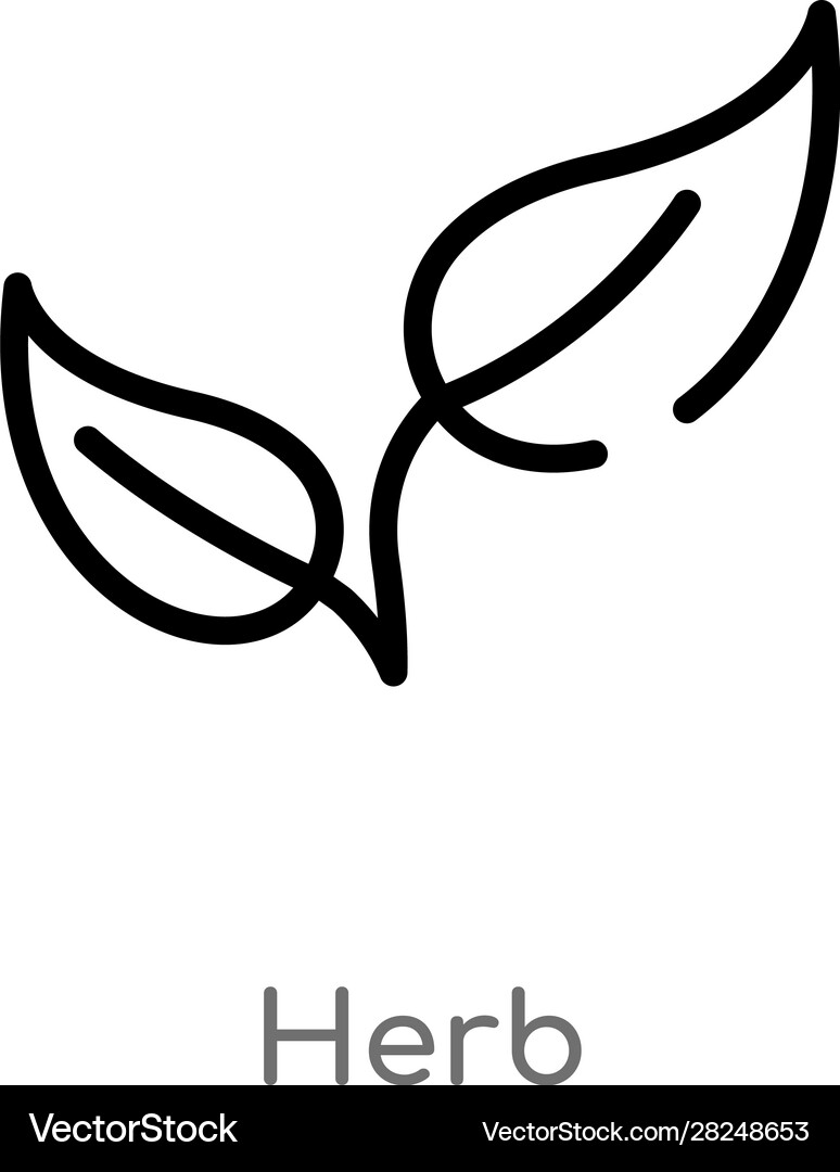 Outline herb icon isolated black simple line Vector Image