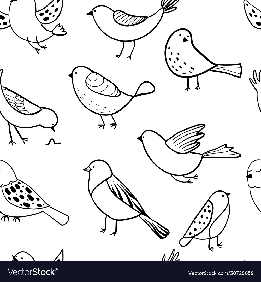 Bird seamless pattern Royalty Free Vector Image